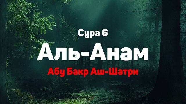 Сура 6 Аль-Анам - Абу Бакр Аш-Шатри