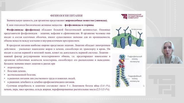 Основные пищевые вещества и их роль в питании человека Часть 2