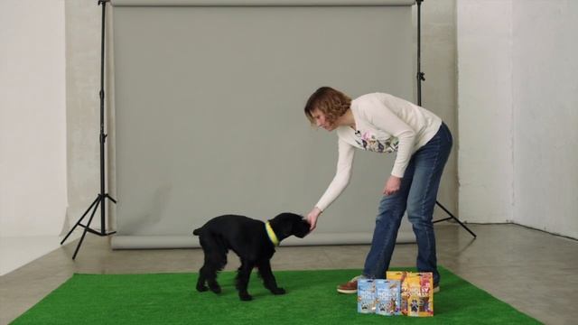 Holly&Jolly - вкусные игры, урок 15