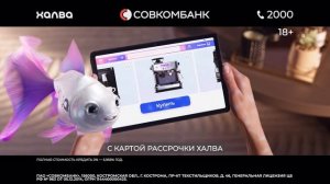 Рассрочка на 10 месяцев без процентов с Халвой!
