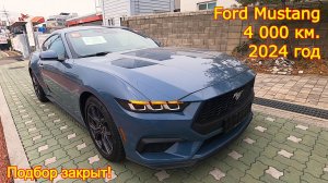 Авто из Кореи - Ford Mustang Ecoboost Premium, 2024 год, 4 000 км., подбор закрыт!