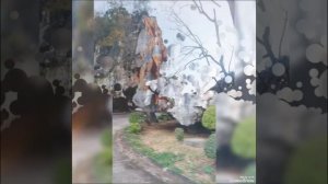 Городской парк у дороги. Мимо ехали и случайно заехали. Были приятно удивлены такой красотой