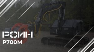 РОИН P700M