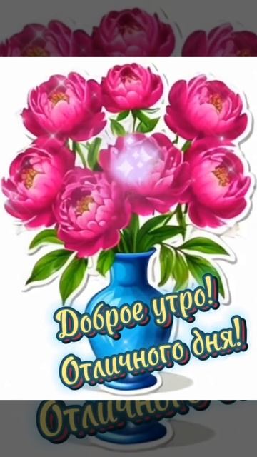 Доброе утро 🌞 Отличного дня 🩷