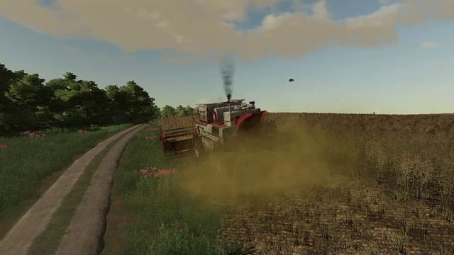 FS19  Карта Кошмак/Начинаем уборку рапса. Подготовка к уборке подсолнечника.#9