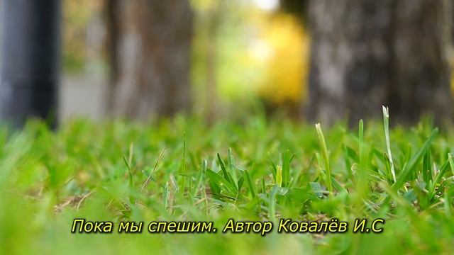 Пока мы спешим.  Хорошая песня о жизни. Душевный шансон. Автор: Ковалёв И.С #шансон #песня #ожизни