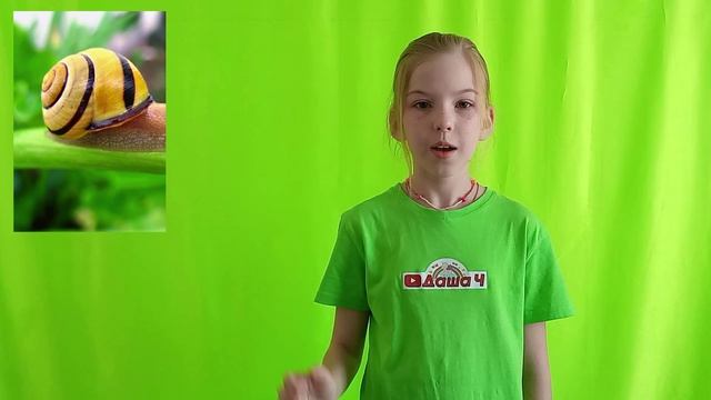 Ученые утверждают что улитки...