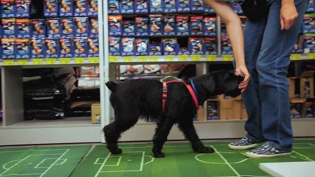 Holly&Jolly - вкусные игры, урок 2