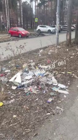 Таежная 4а и весь сквер вот в таком мусоре, Хотя помойка тут же рядом