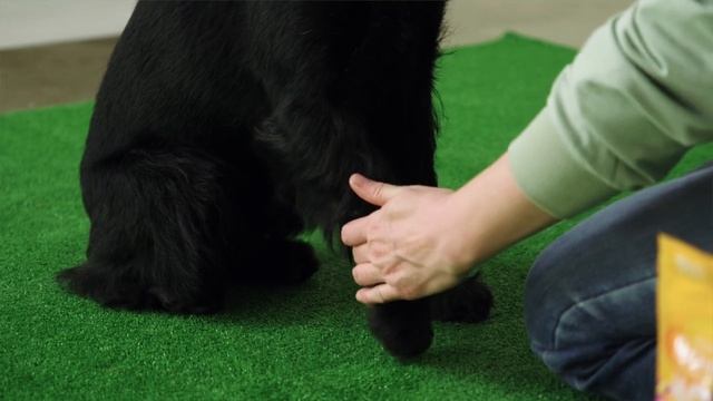 Holly&Jolly - вкусные игры, урок 14