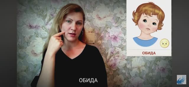 СЛОВАРЬ РЖЯ «ЧУВСТВА И ЭМОЦИИ» -1