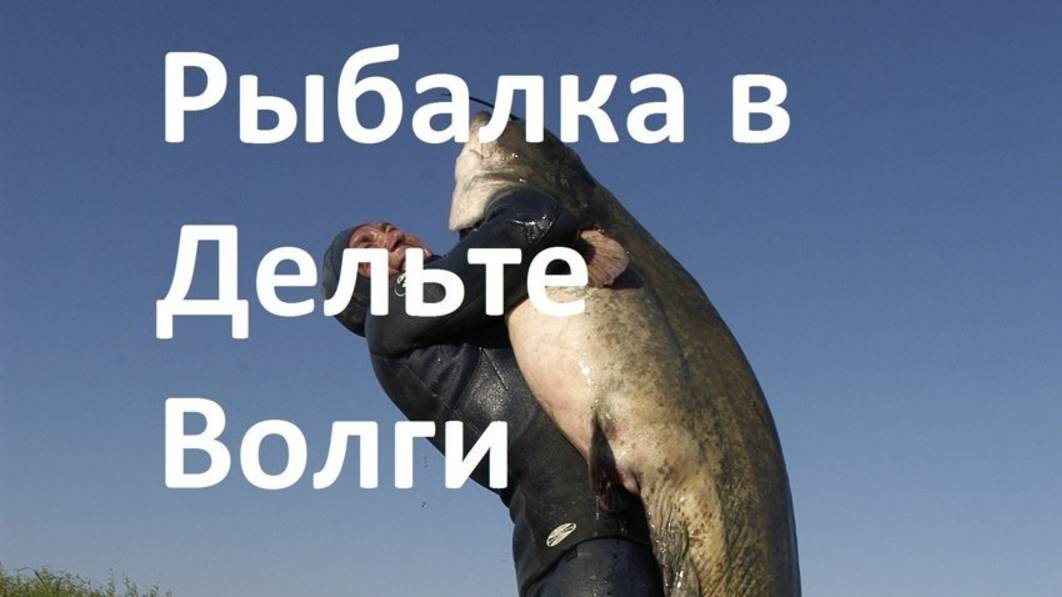 Рыбалка и подводная охота в Дельте Волги: незабываемые приключения с друзьями!