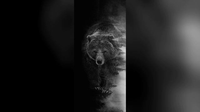 МУЗЫКА В МАШИНУ-Deep mix