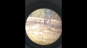 НШС, работа с ветром, 308 калибр