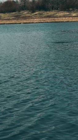 Мир Глазами Рыбака 👀🎣1️⃣