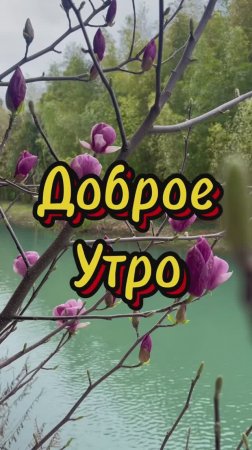 Доброго весеннего утра!