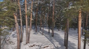 Пустынь Арзамас полеты
