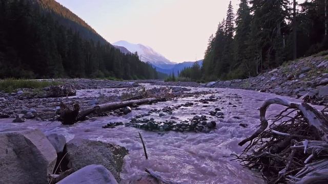 Утро на Реке Рассвет Пение Птиц и Звуки Природы для Медитации и Расслабления смотреть видео