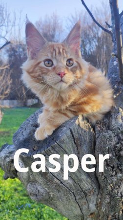 Casper Dark Flame