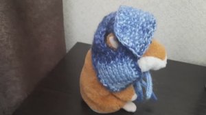 РАДУГА_3_ОТЧЕТ_5_ голубая неделя