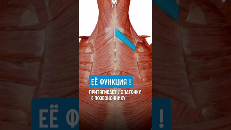 #массаж #massage #доктор