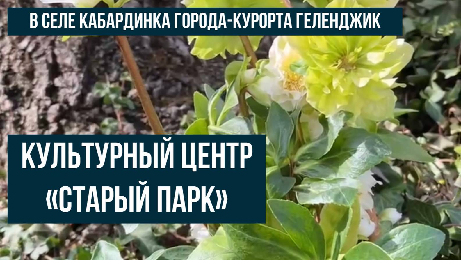 Старый Парк в Кабардинке, Геленджик, культурный центр