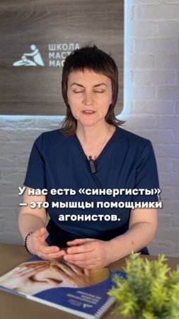 Зачем массажисту знать биомеханику?