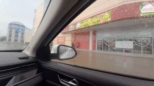 Едем из Проводника к ветеринарке и в ленту