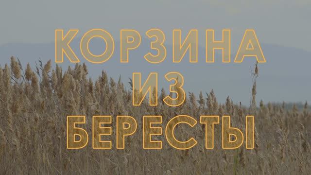 Изготовление корзины из бересты - обучающее видео