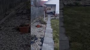 Ордынцы