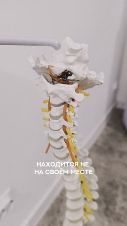 К 30 годам у людей возникают вот такие проблемы