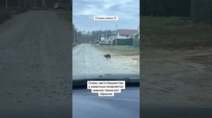 @vkino_real - названия доступны только подписчикам (подпишись и смотри лучшие фильмы и сериалы)