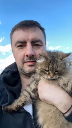 Питюня молодец

#котики #ПИТ #газон #газонокосилка #PIT #топыкатегорий
