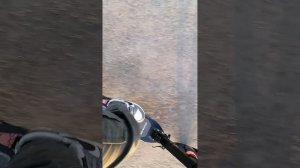У тёти!