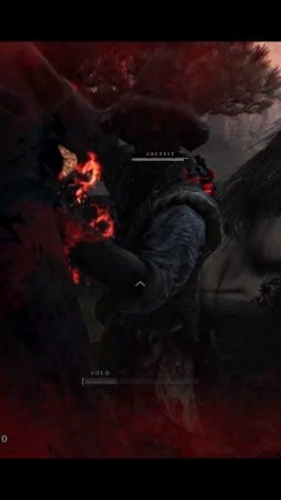 WitchFire's Deadly Encounter: The Warden's Last Stand