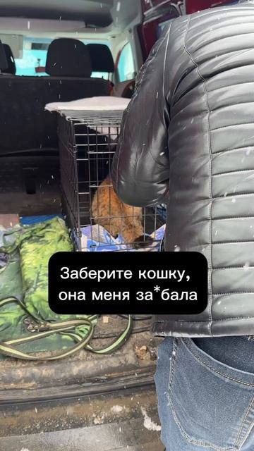 Заберите, она меня за*бала 💛 ТГ: Хвостатый Дом