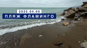 Сегодня на море в поселке Лазаревское, 5 апреля 2025, пляж Фламинго.