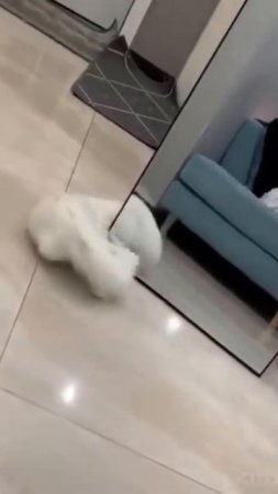 Кто в  зеркале