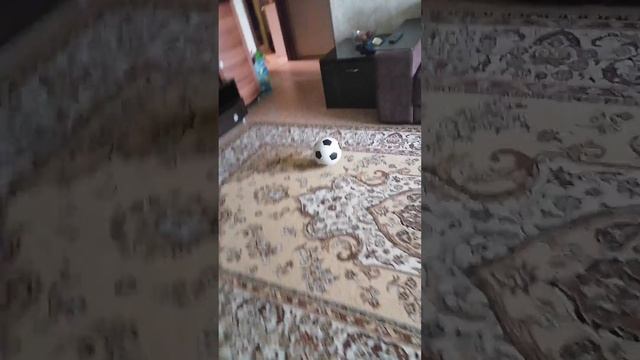Мяч!