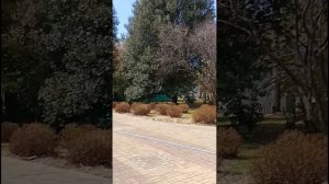 Центральный парк Лазаревское 12 марта 2025