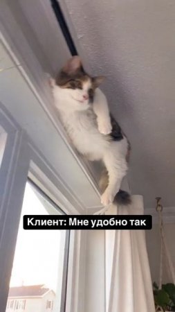 Если вы развиваете личный бренд, то выбирайте то, что вам будет делать просто и масштабируйте это