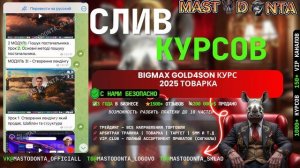 Bigmax курс 2025