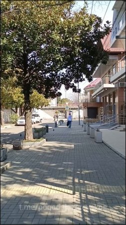 Улица Павлова Лазаревское 12 марта 2025.