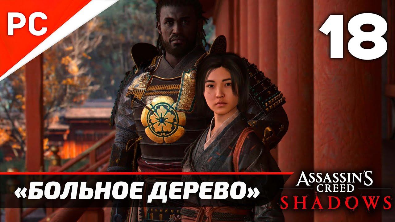 Assassin's Creed Shadows: Прохождение на ПК в 4K | Без комментариев | Часть 18 — «Больное дерево»