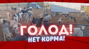 Голод...