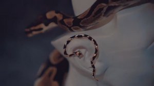 Бижутерия SHANTI
