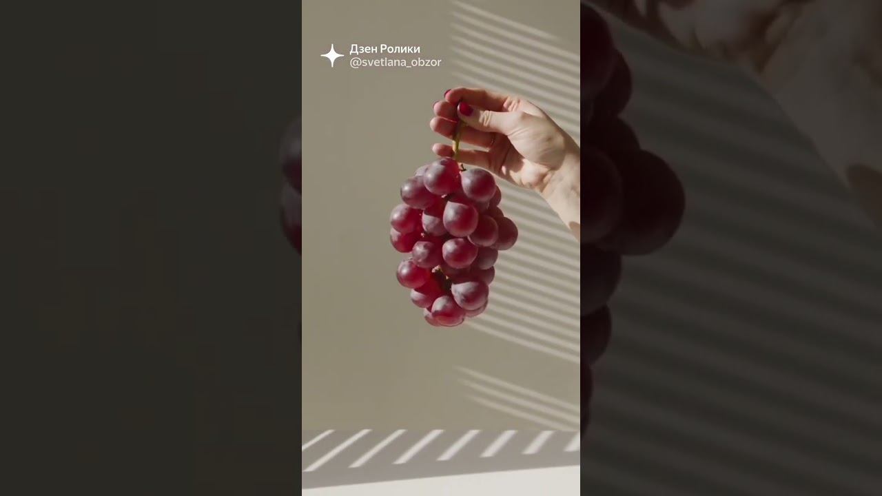 #shorts Польза и вред / Benefit and harmful