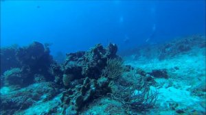 Scuba diving in Mexico 2014
