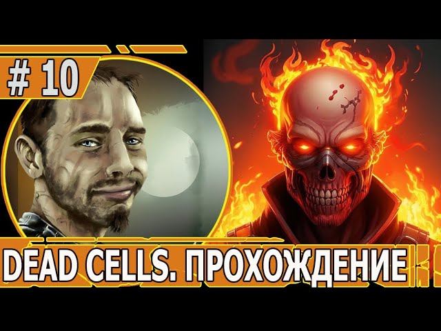 ИГРАЕМ В DEAD CELLS | #deadcells | #10 НОВОЕ ОРУЖИЕ