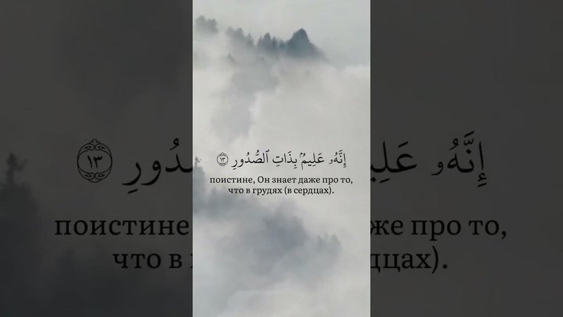 Чтение Корана   Абу Хатим 4